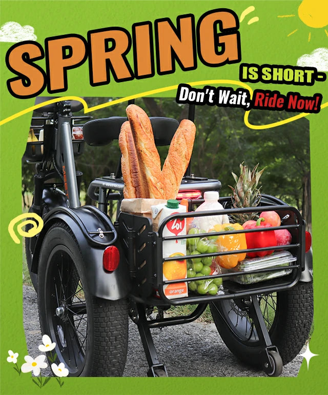 Meet One Trike | Leading the Way in Comfortable & Safe Electric Trikes ...